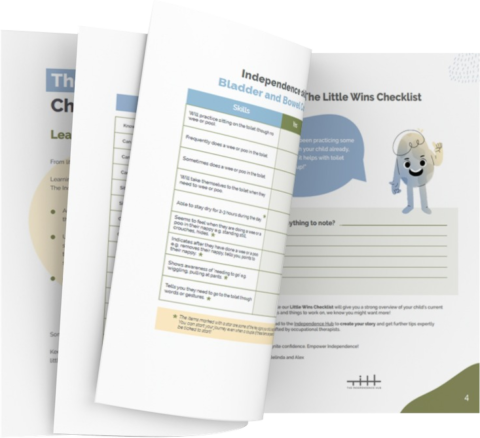 Little Wins Checklist - The Independence Hub